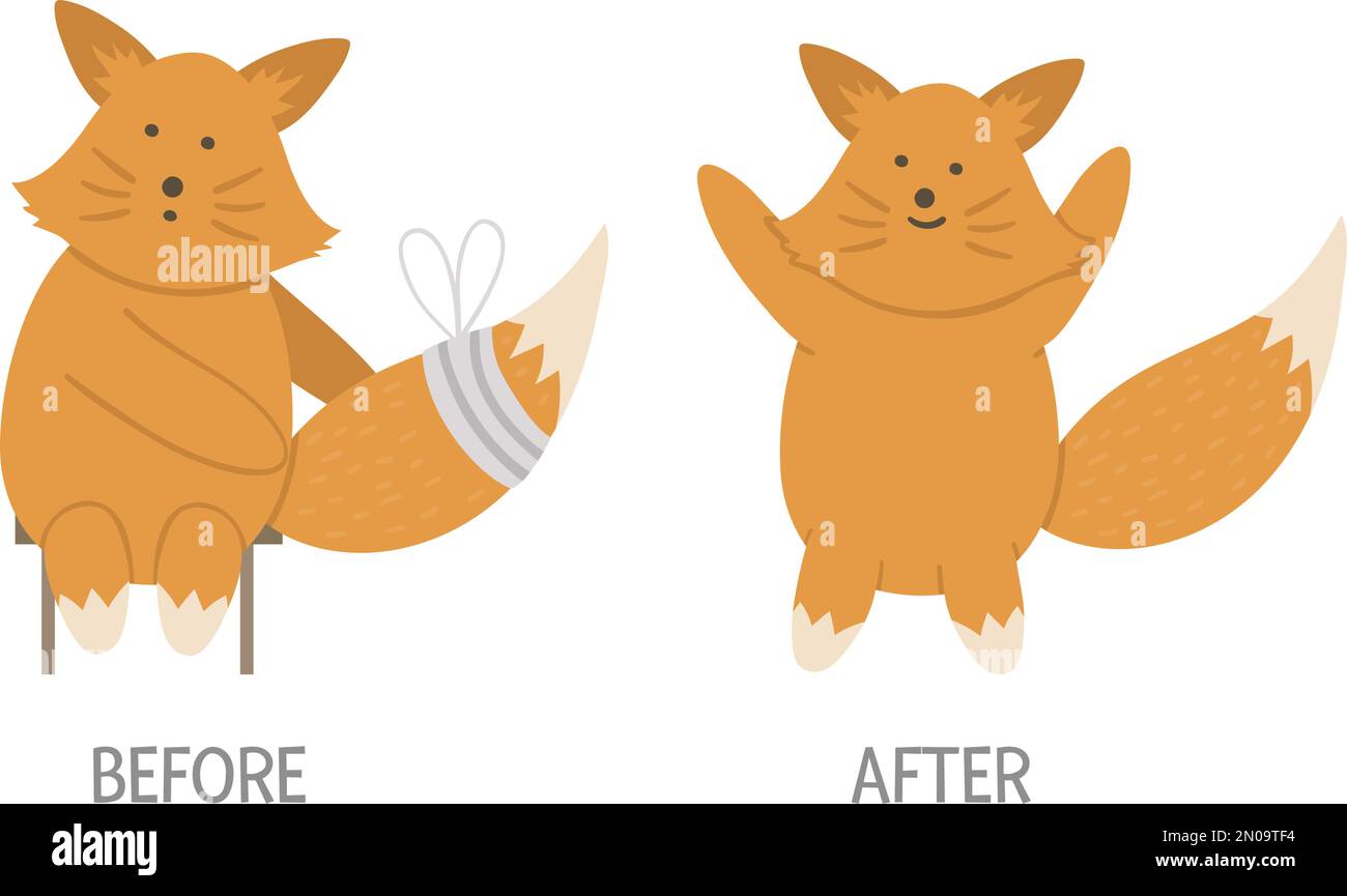 Vector ill animal versus healthy. Cute fox with bandage on its tail. Funny patient characters ...