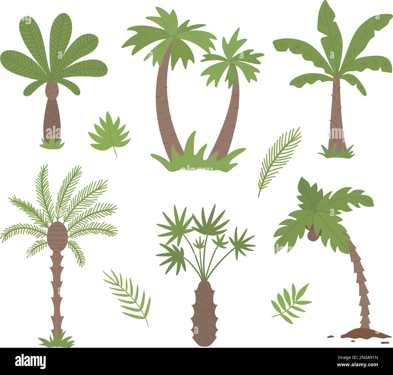Vector tropical palm trees clip art. Jungle foliage illustration. Hand ...