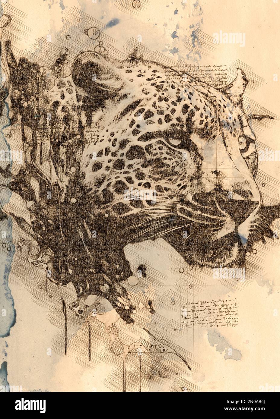 Jaguar drawing hi-res stock photography and images - Alamy