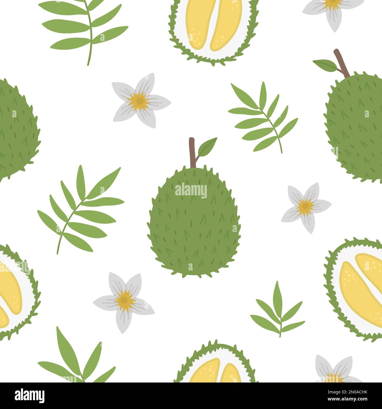 Vector durian seamless pattern. Jungle fruit repeat background. Hand drawn flat exotic texture ...