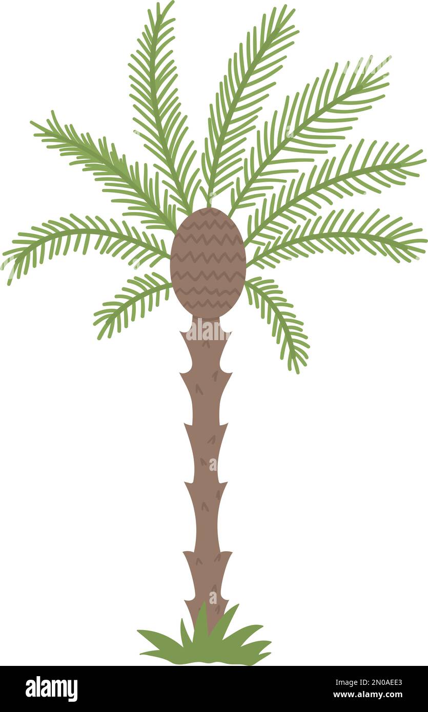 Vector tropical palm tree clip art. Jungle foliage illustration. Hand ...