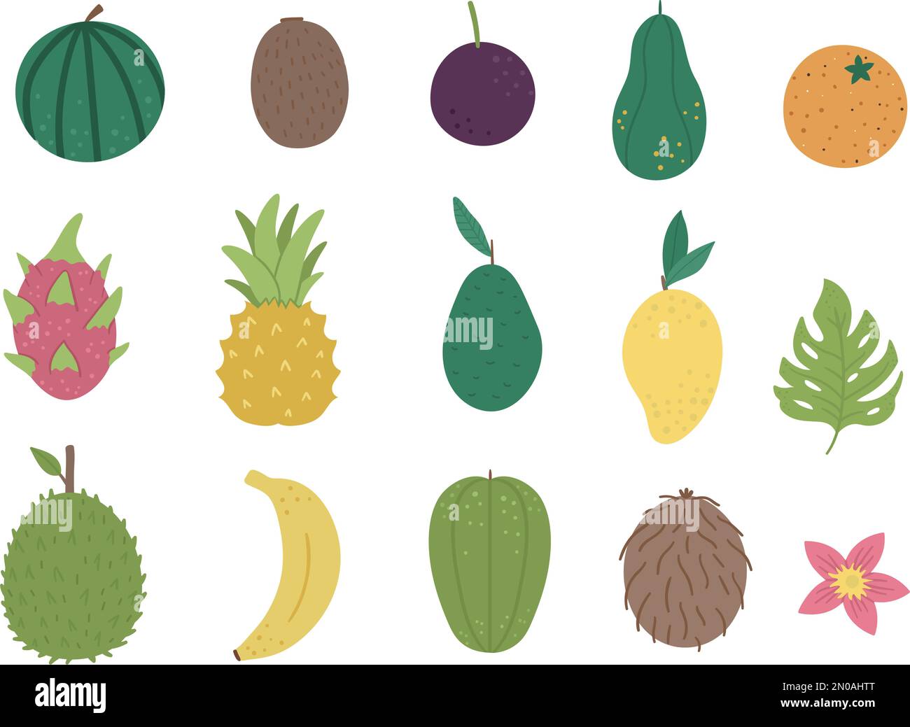 Vector tropical fruit and berries clip art. Jungle foliage illustration ...