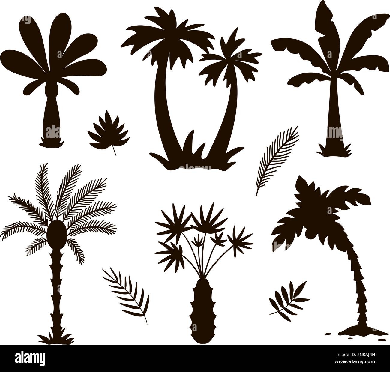 Vector tropical palm trees silhouettes. Jungle foliage black ...