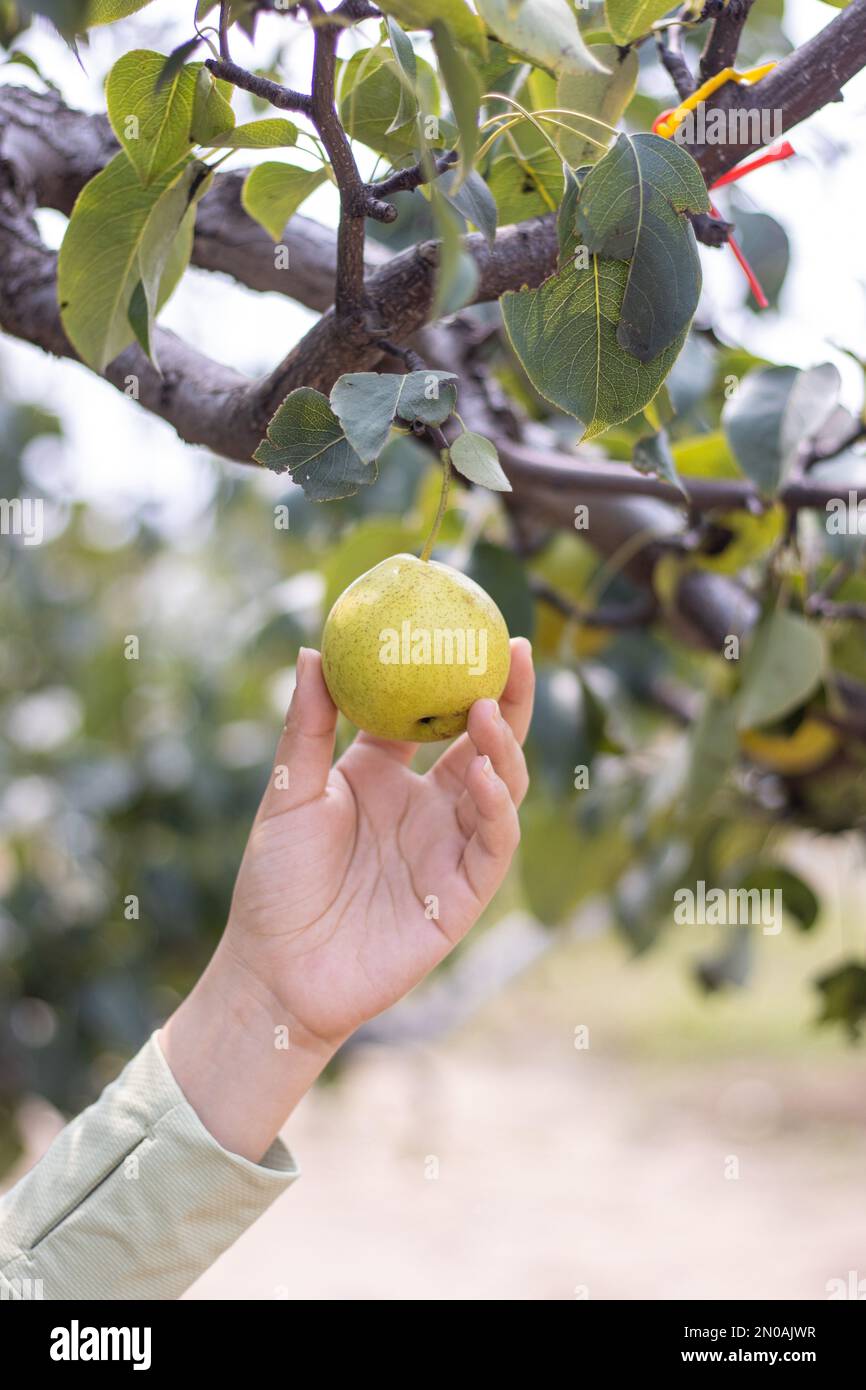 Adults features hi-res stock photography and images - Alamy