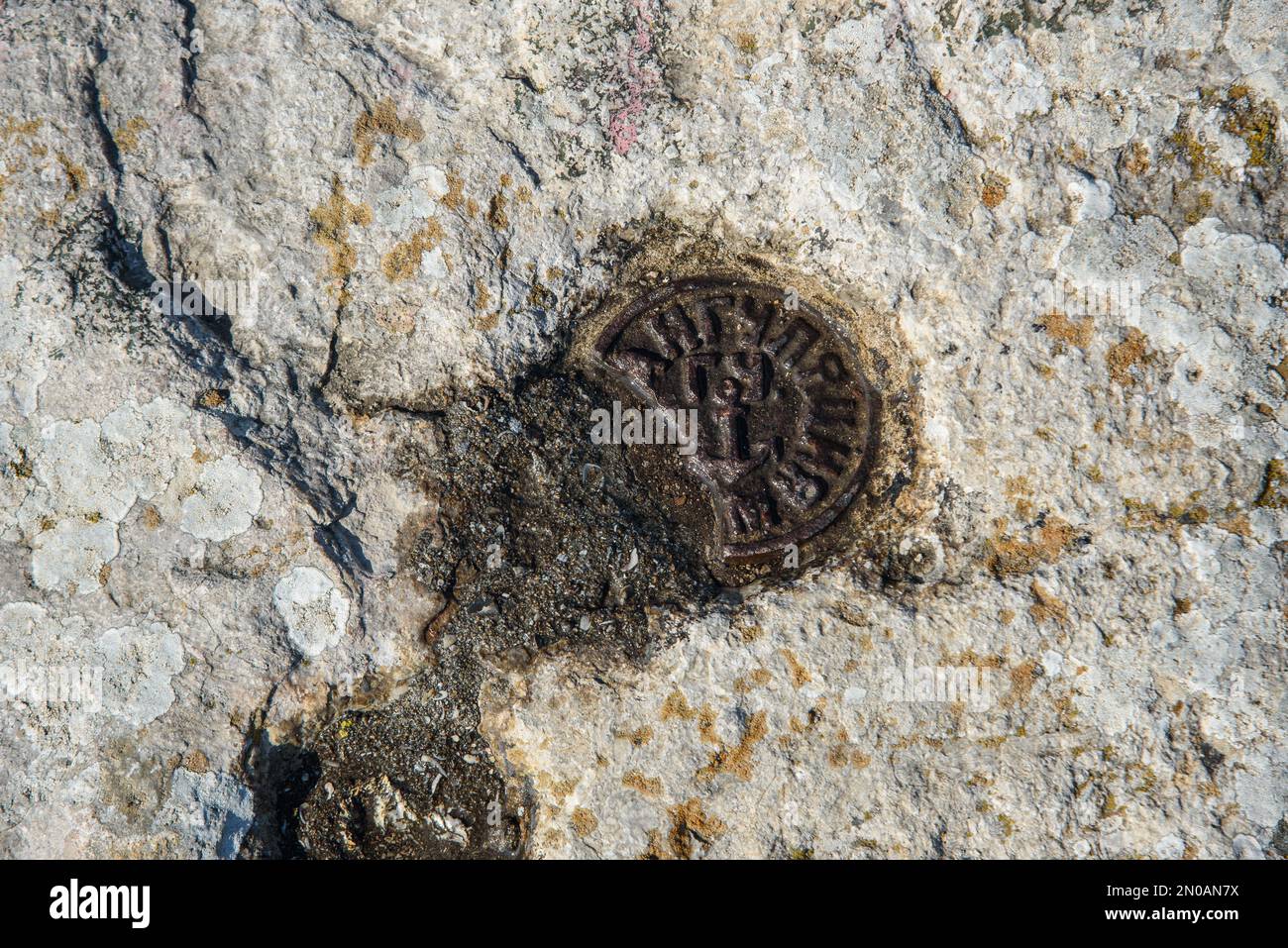 Sokol emblem hi-res stock photography and images - Alamy