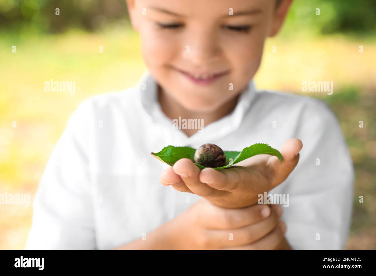 Boy playing with cute snail outdoors, focus on hand. Child spending ...