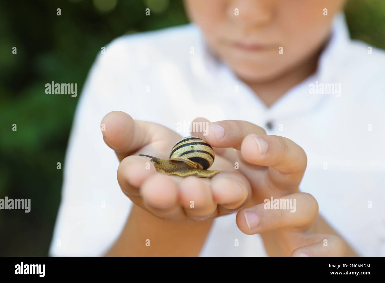 Boy playing with cute snail outdoors, closeup. Child spending time in ...