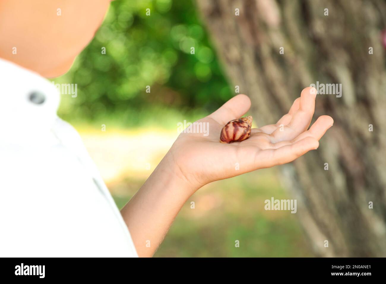 Boy playing with cute snail outdoors, closeup. Child spending time in ...