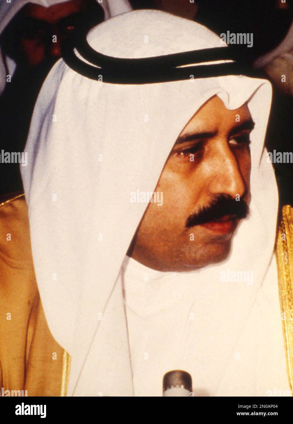 Sheikh Hamad bin Seif Al Thani, Foreign Minister of Qatar, pictured in ...