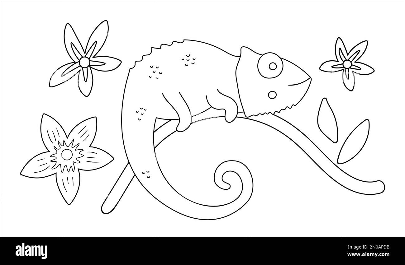 Chameleon Clipart Black And White