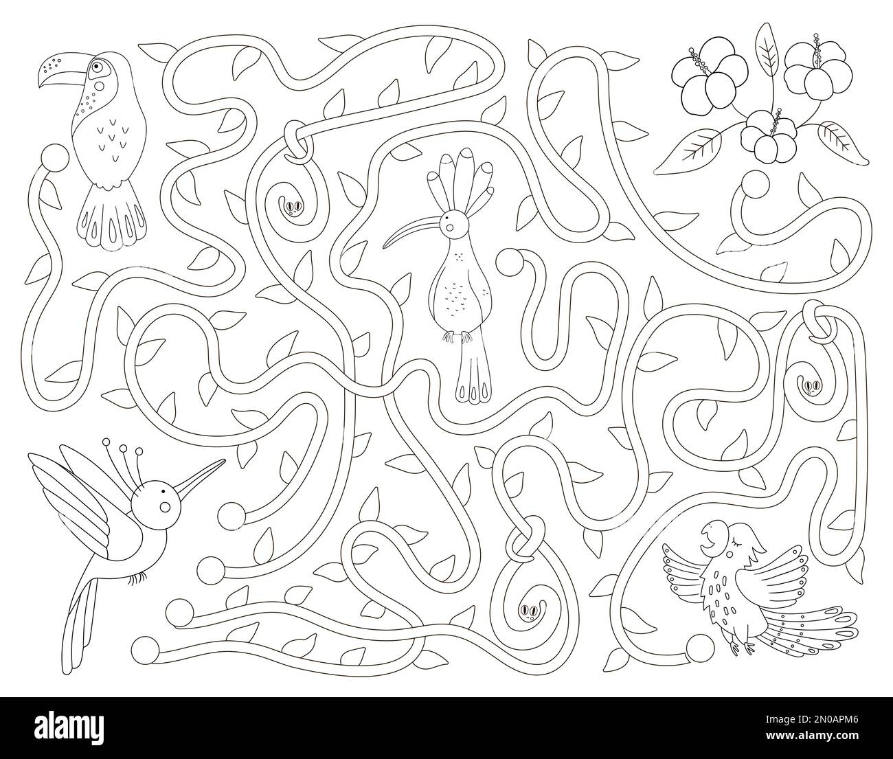 Tropical black and white maze for children. Preschool exotic activity ...