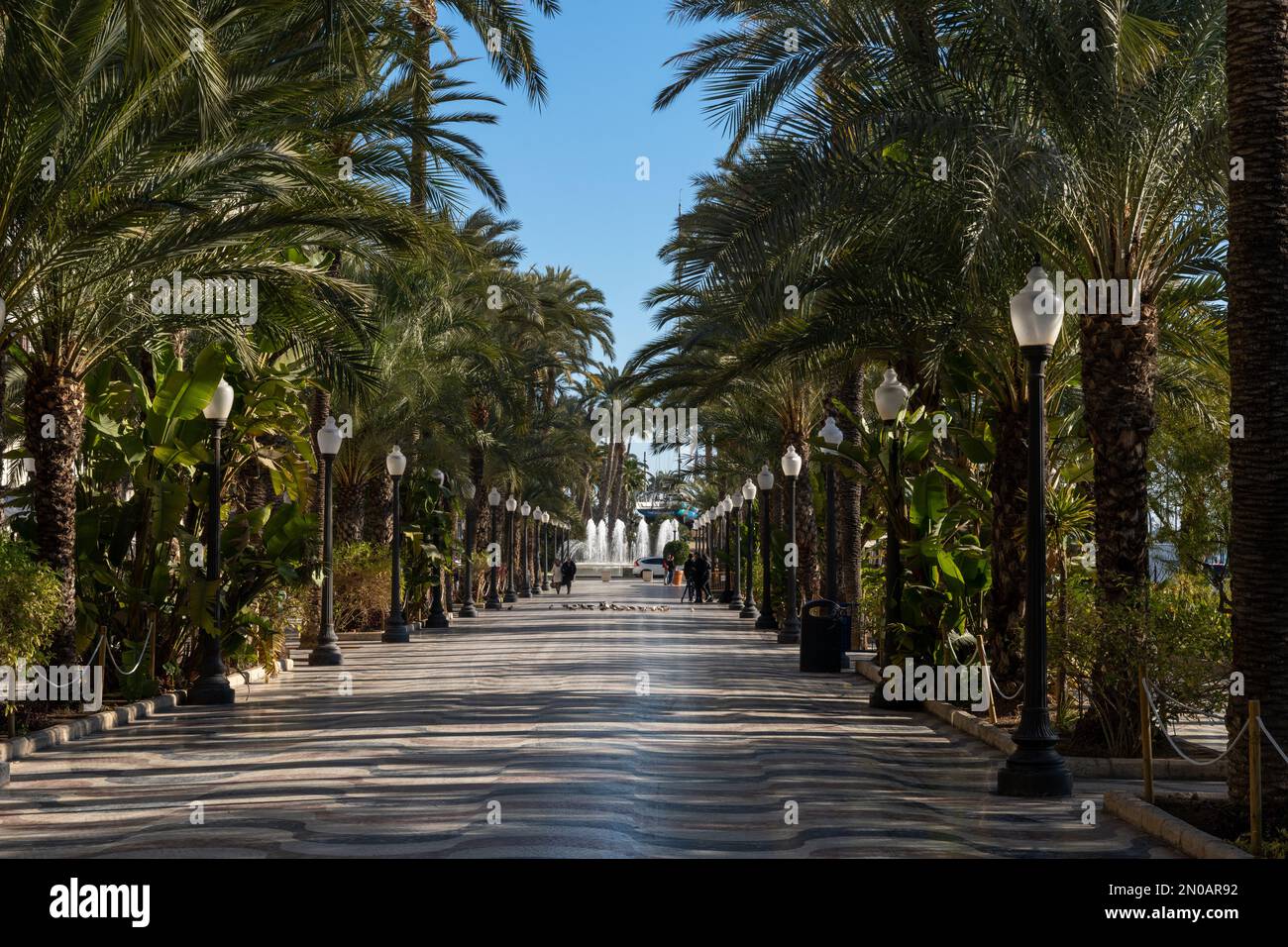 Alicante, Spain - 2 February, 2023: view of the Paseo Maritimo harbor ...