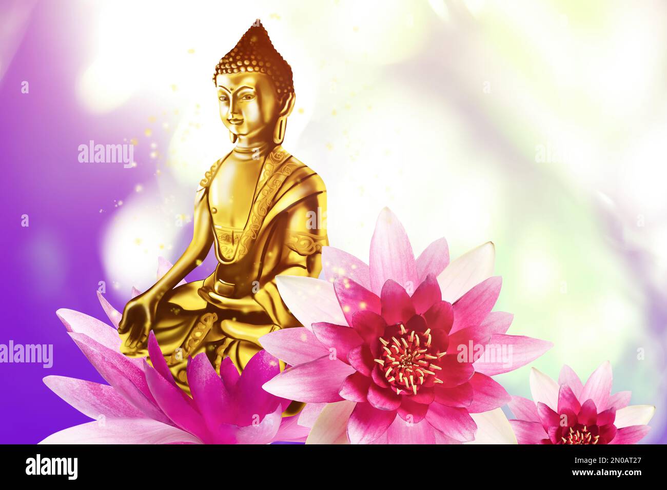 Lotus flowers effect hi-res stock photography and images - Alamy