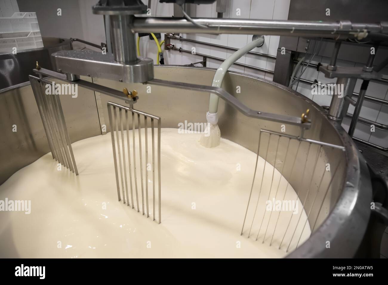 Pouring milk into curd preparation tank at cheese factory Stock Photo ...