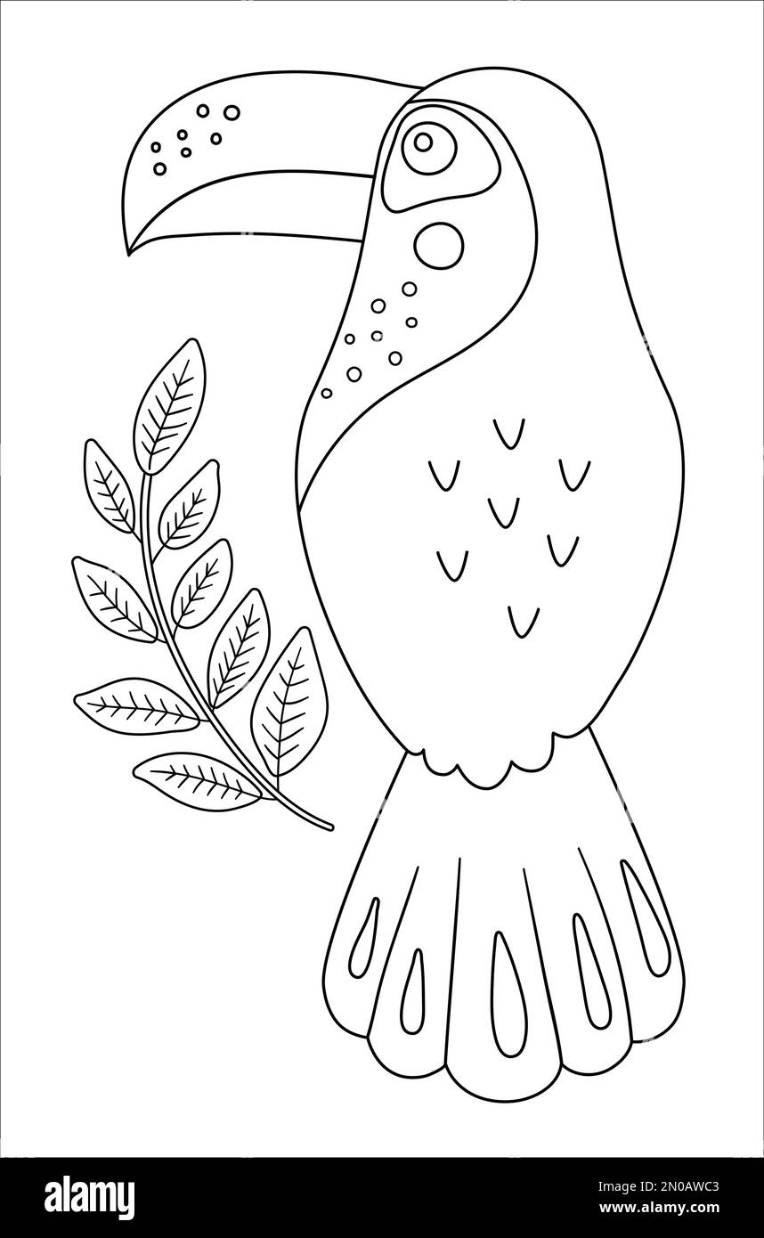 Vector cute toucan outline. Funny tropical exotic bird black and white ...