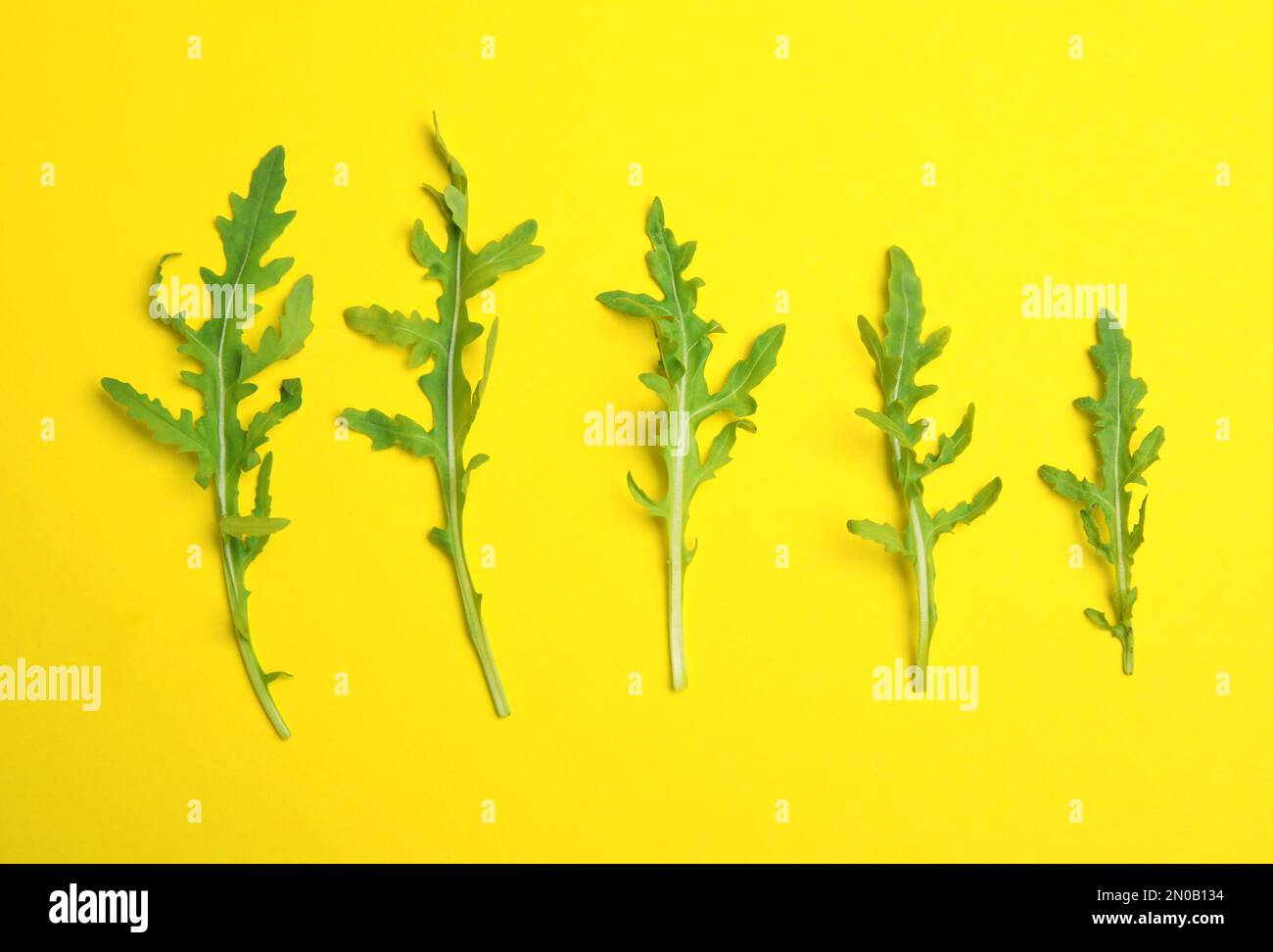 Fresh arugula on yellow background, flat lay Stock Photo - Alamy
