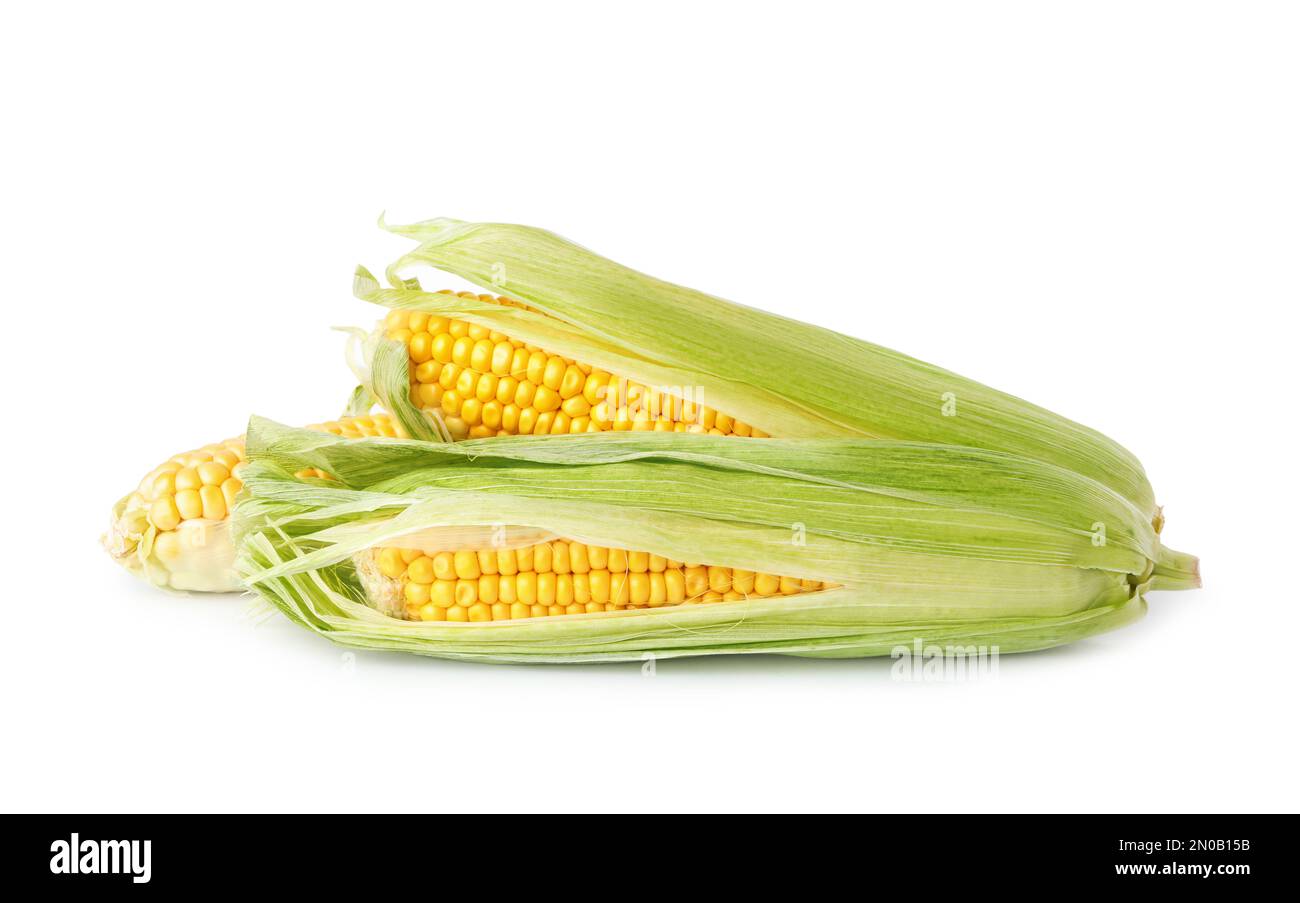 Ripe raw corn cobs with husk on white background Stock Photo - Alamy