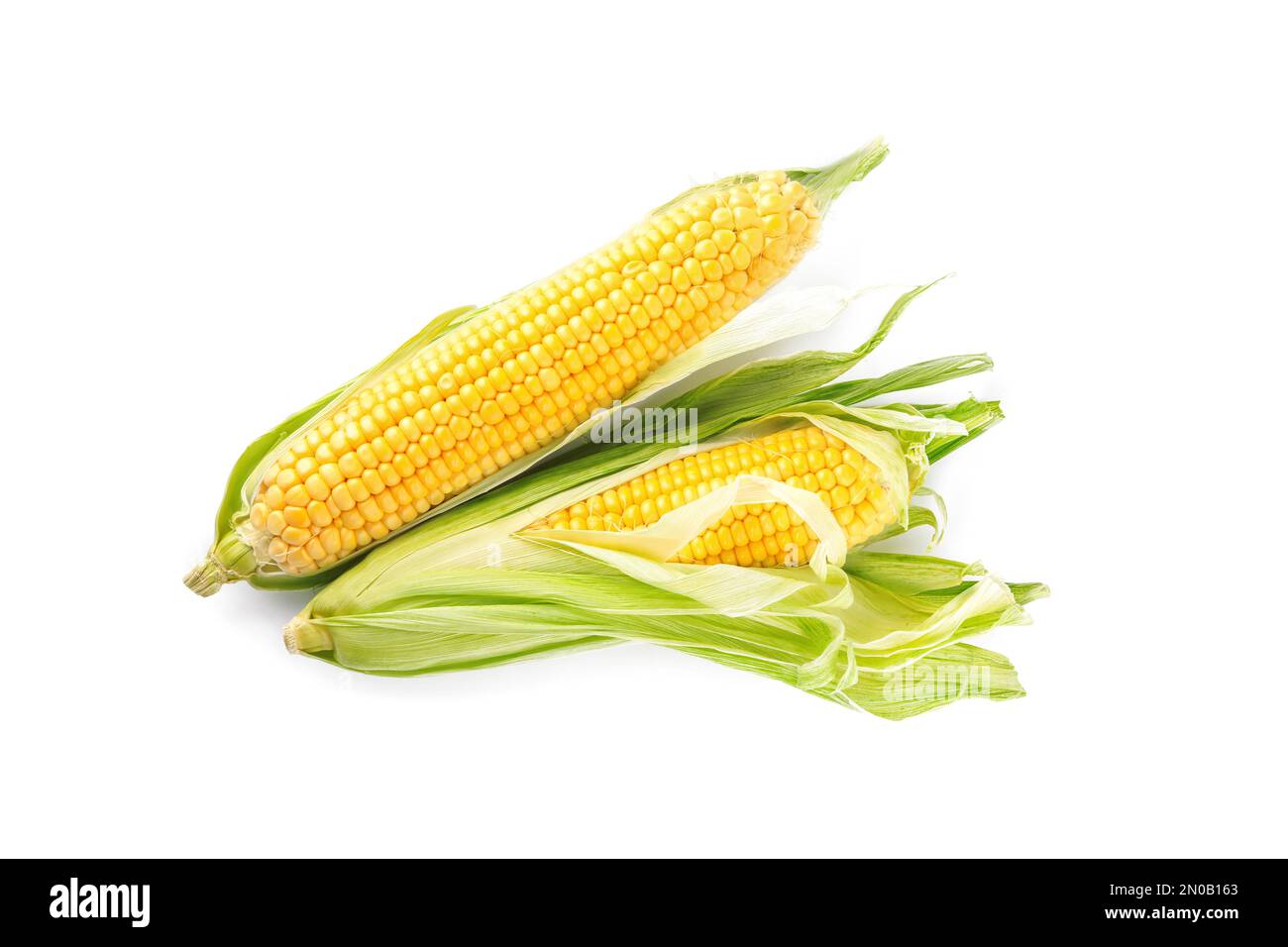 Ripe raw corn cobs with husk on white background Stock Photo - Alamy