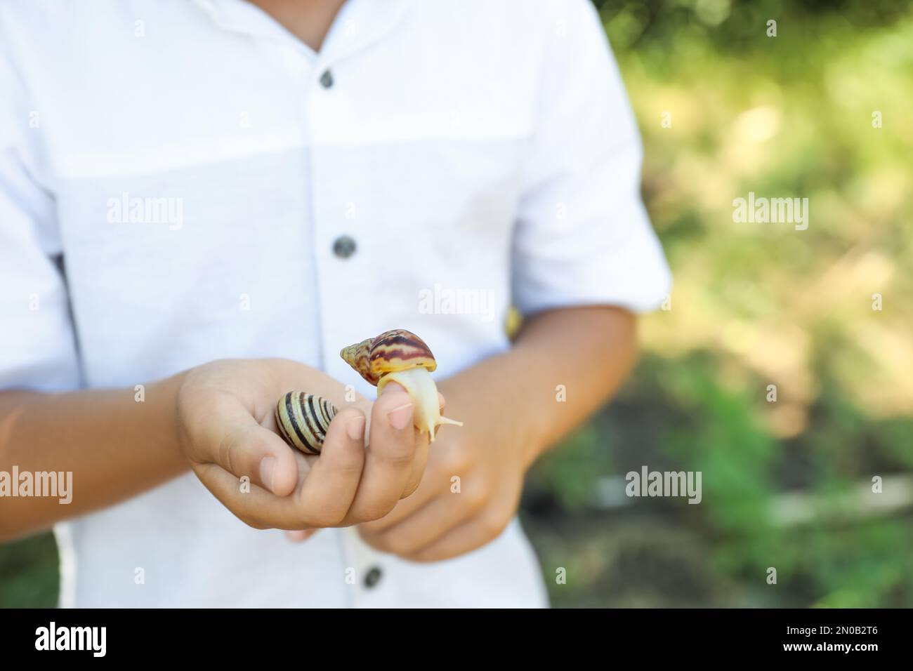Boy playing with cute snails outdoors, closeup. Child spending time in ...