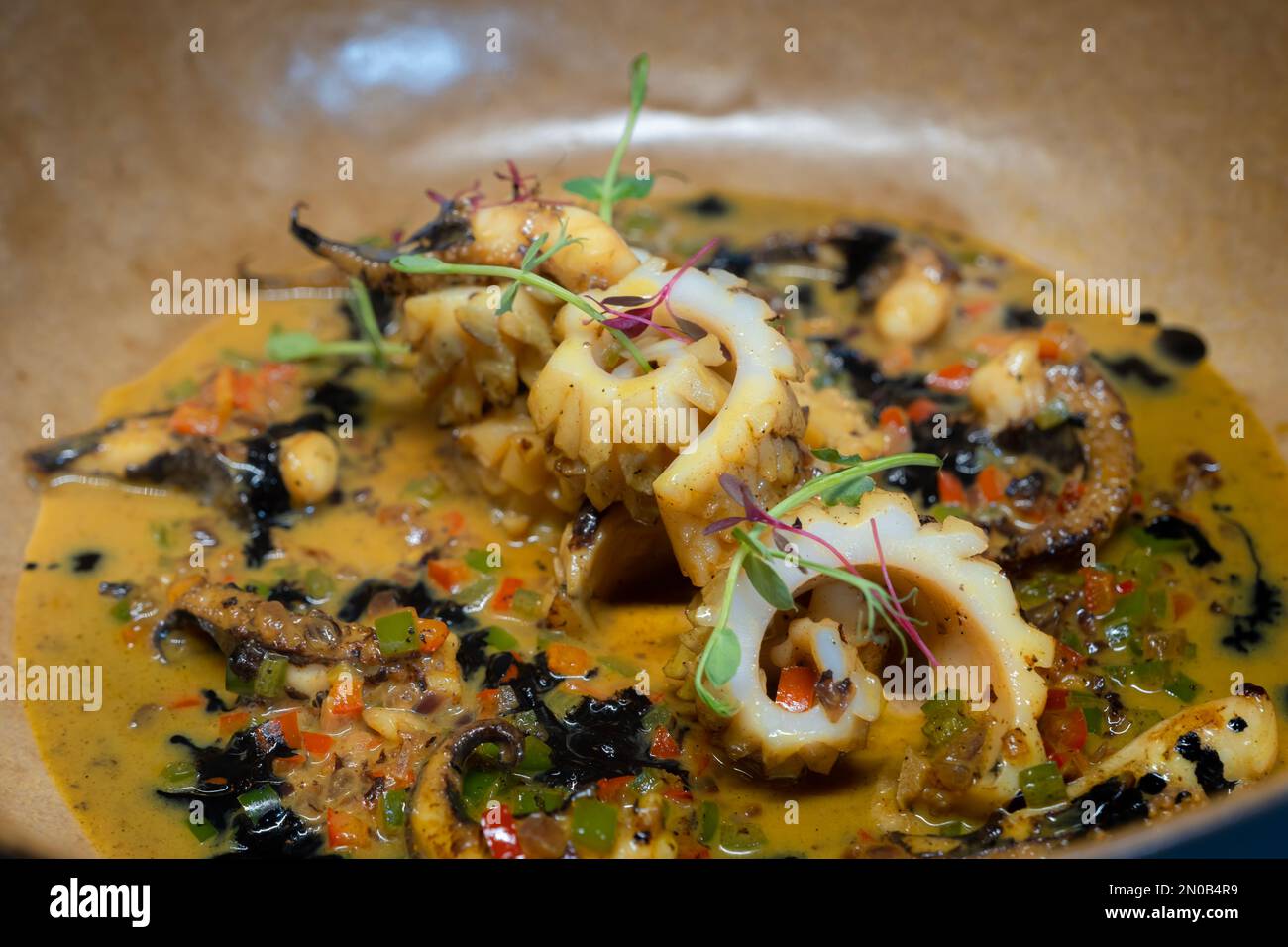 Vibrant Squid in a Rich and Flavorful Ink Sauce, Presentation in a Deep ...