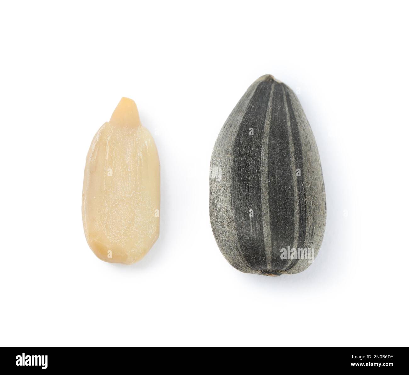Raw peeled and unpeeled sunflower seed isolated on white, top view ...