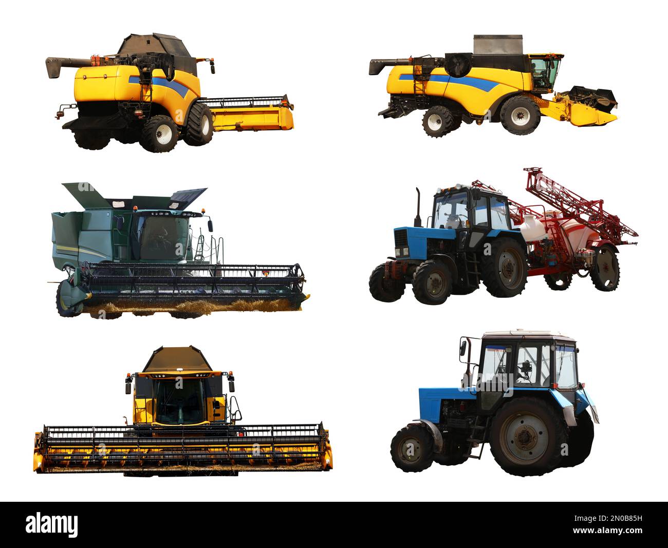 Growing on agricultural field Cut Out Stock Images & Pictures - Alamy