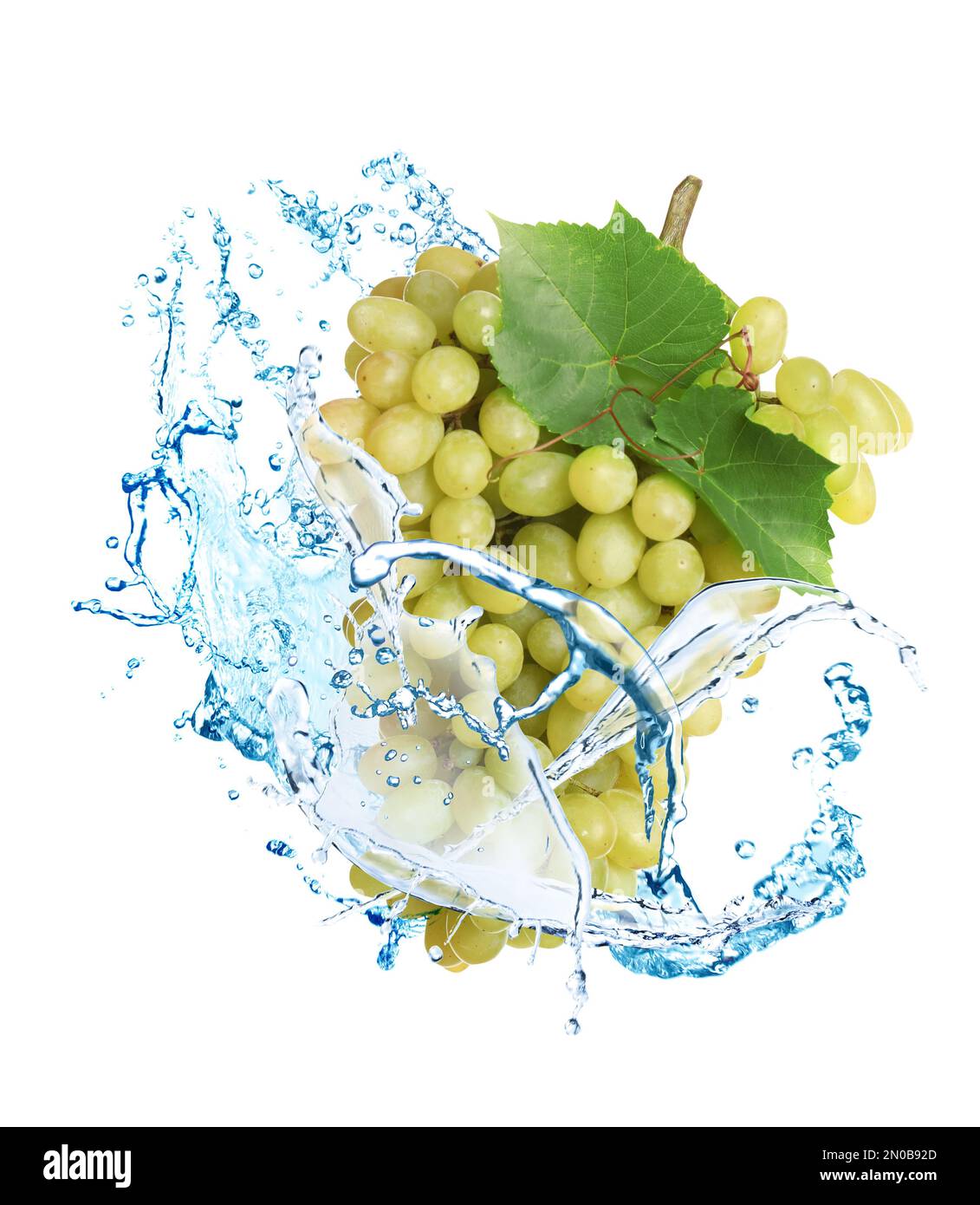 Grape cluster with water splash on white background Stock Photo - Alamy