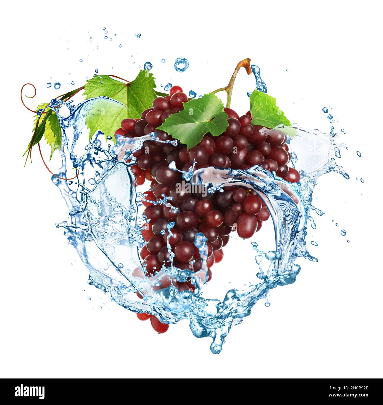 Grape cluster with water splash on white background Stock Photo - Alamy