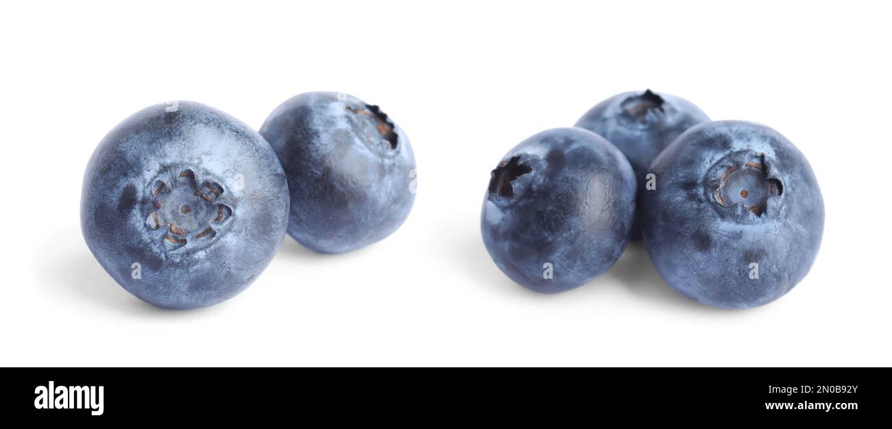 Fresh blueberries on white background. Banner design Stock Photo - Alamy