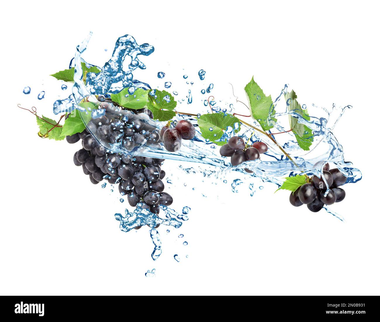 Grapes with water splash on white background Stock Photo - Alamy
