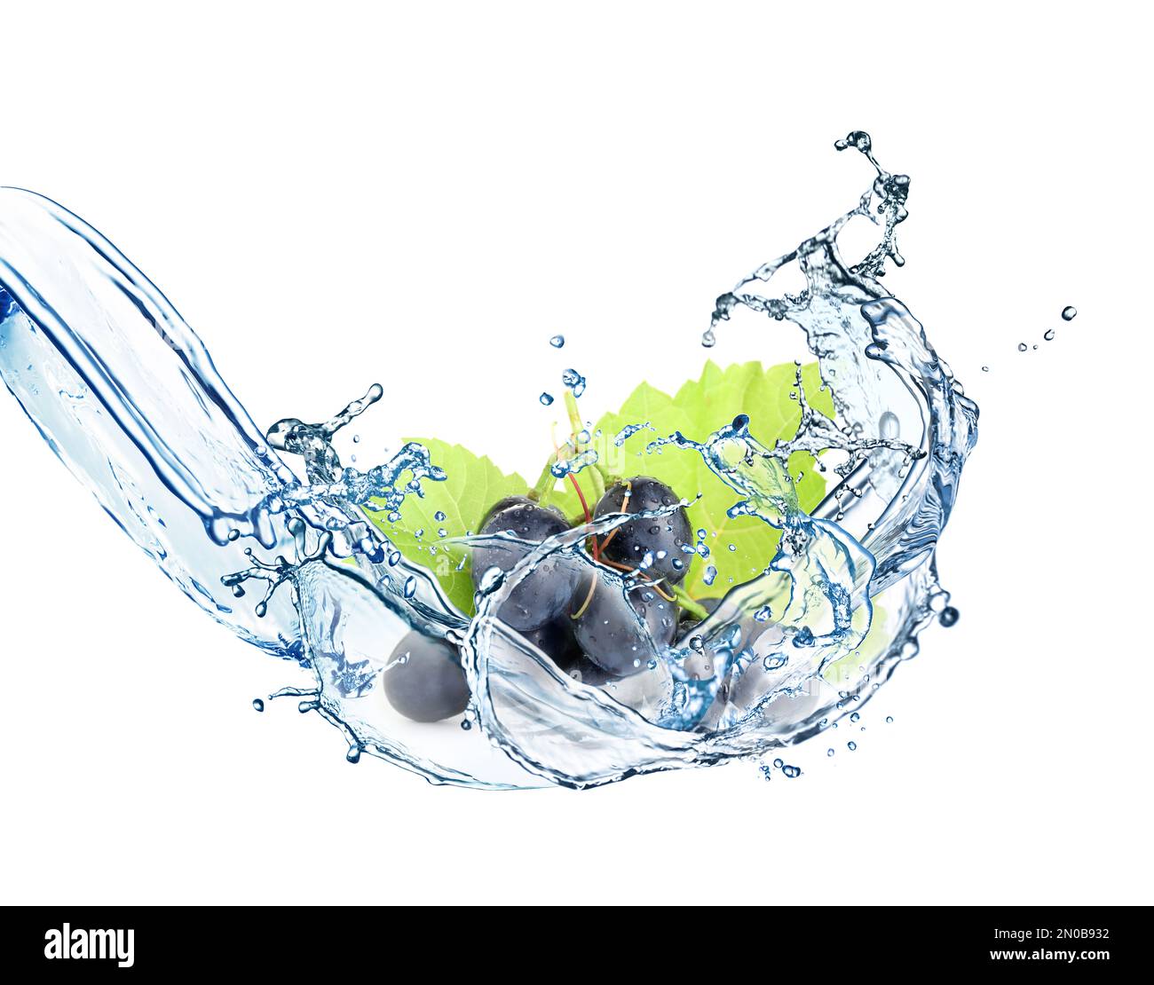 Grapes with water splash on white background Stock Photo - Alamy