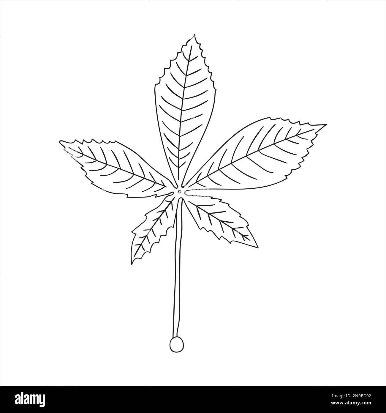 Vector line chestnut leaf icon isolated on white background. Tree ...