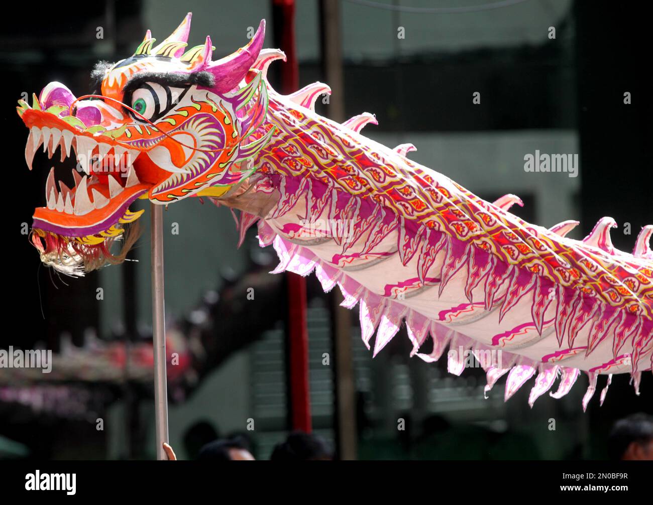 Dragon dancers make their way through a crowd to perform in celebration ...