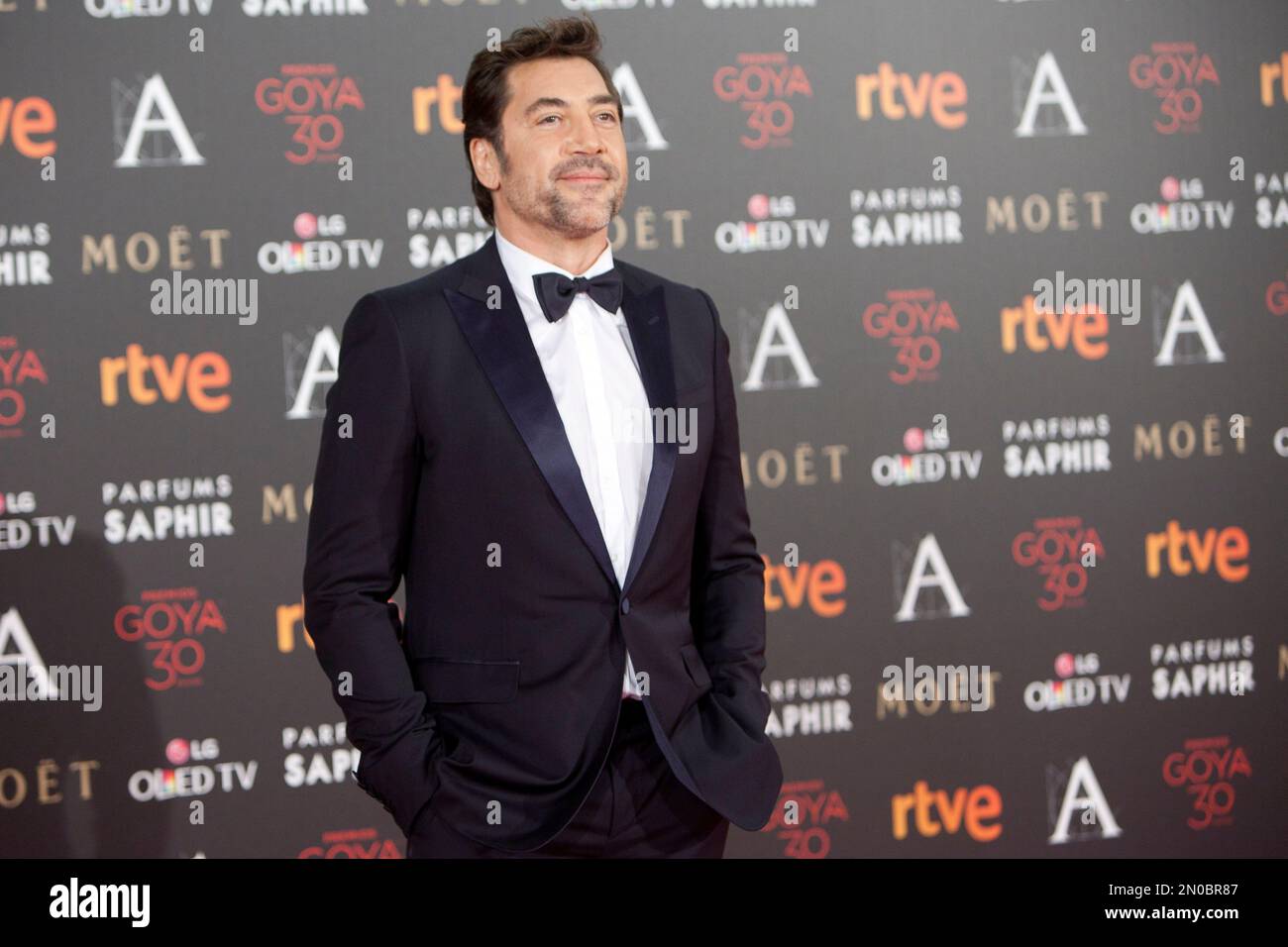 Spanish actor Javier Bardem poses for photographers before the Goya ...