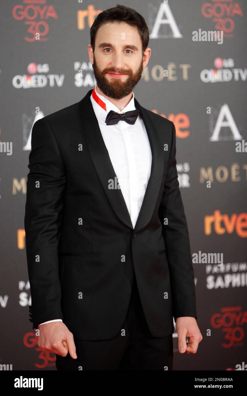Spanish actor Dani Rovira poses for photographers before the Goya Film ...