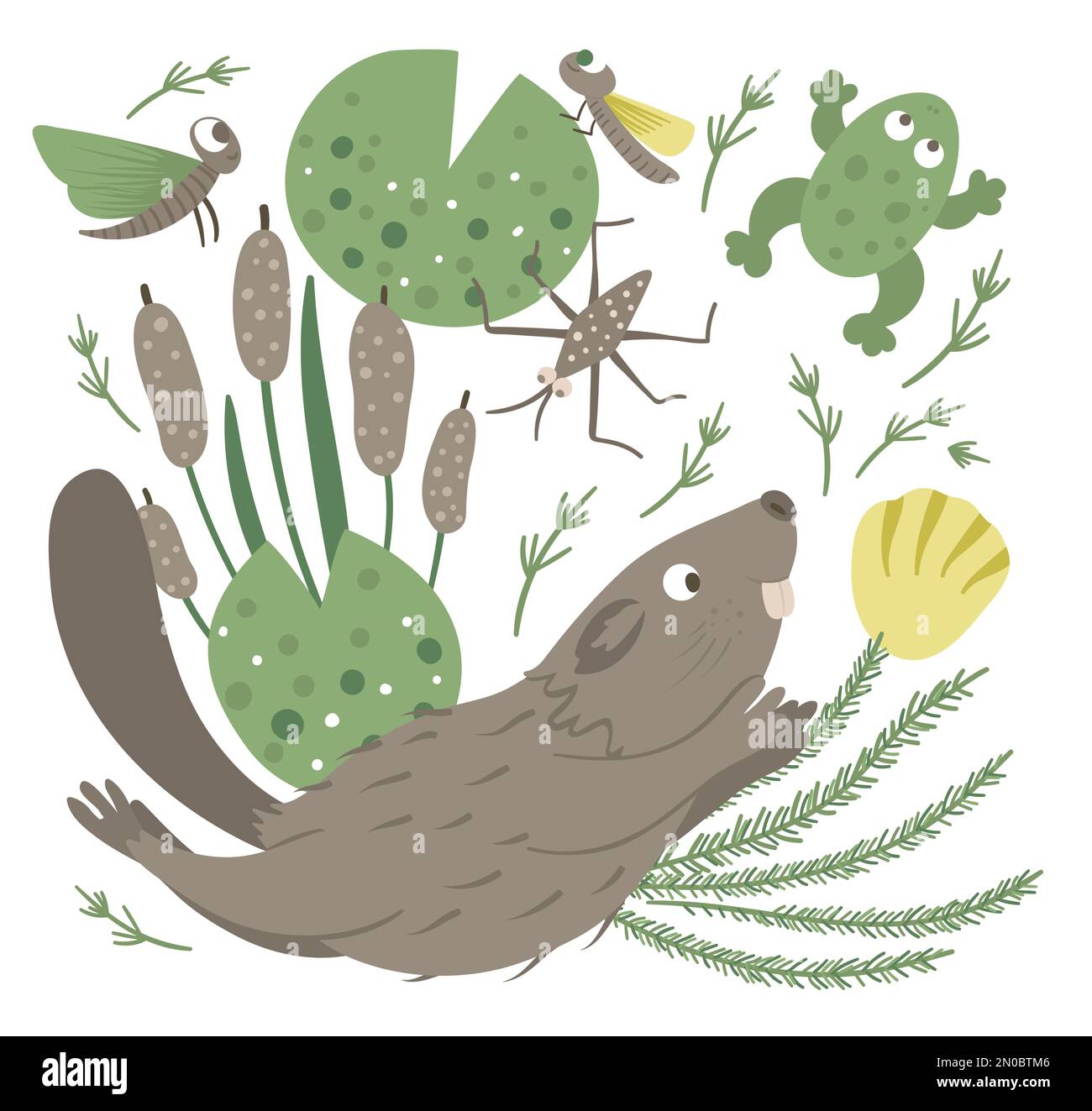 Baby beaver swimming Cut Out Stock Images & Pictures - Alamy