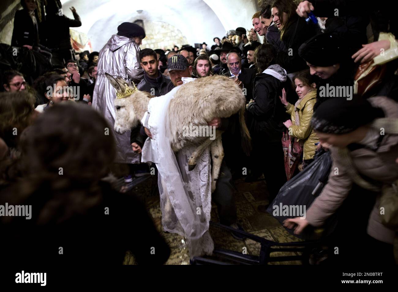 Ultra-Orthodox Jews stand around a donkey foal during the 'Redemption ...