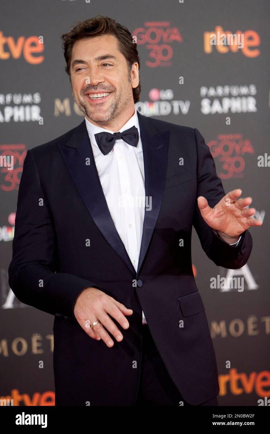 Spanish actor Javier Bardem poses for photographers before the Goya ...