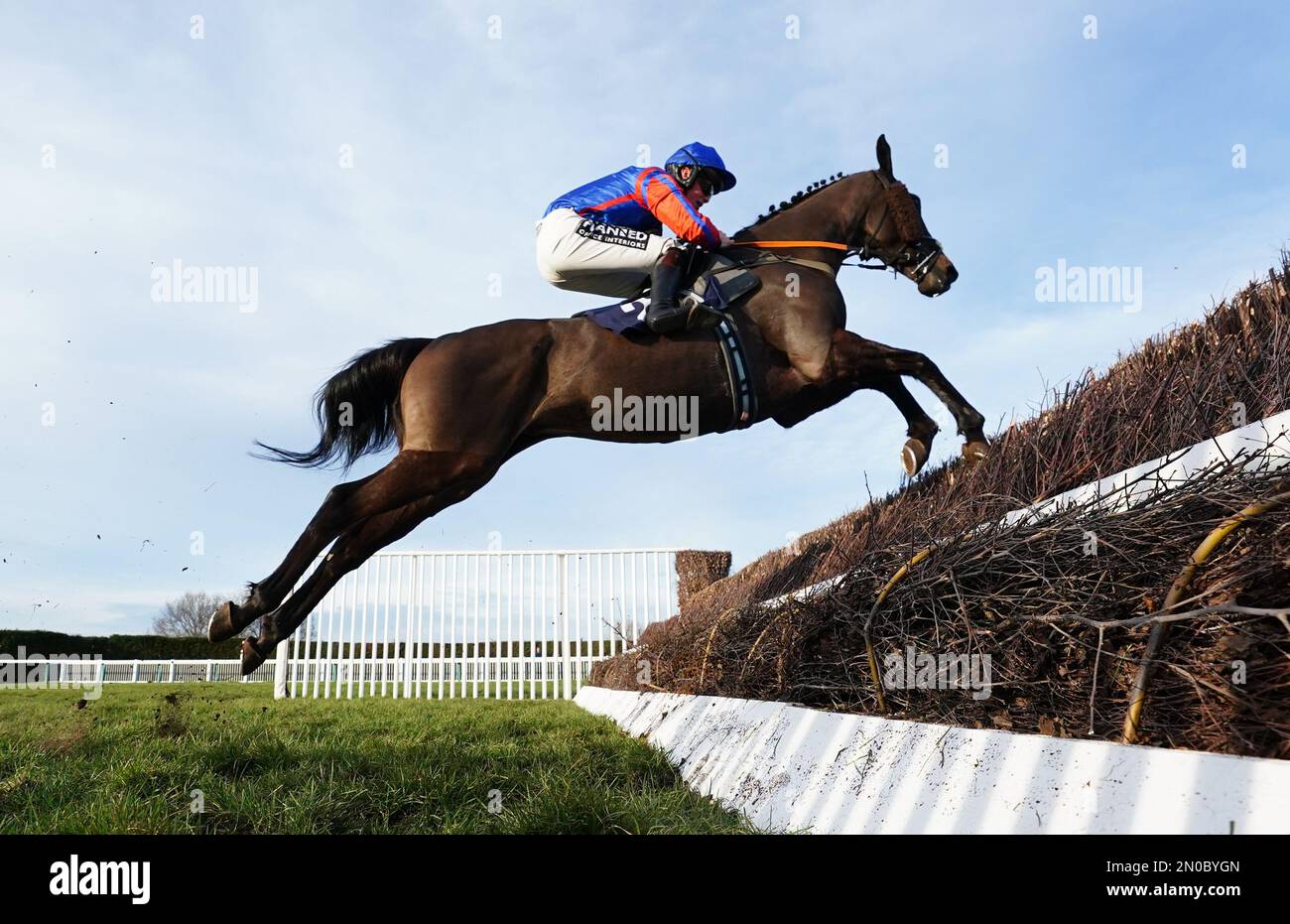 Jay tidball hi-res stock photography and images - Alamy