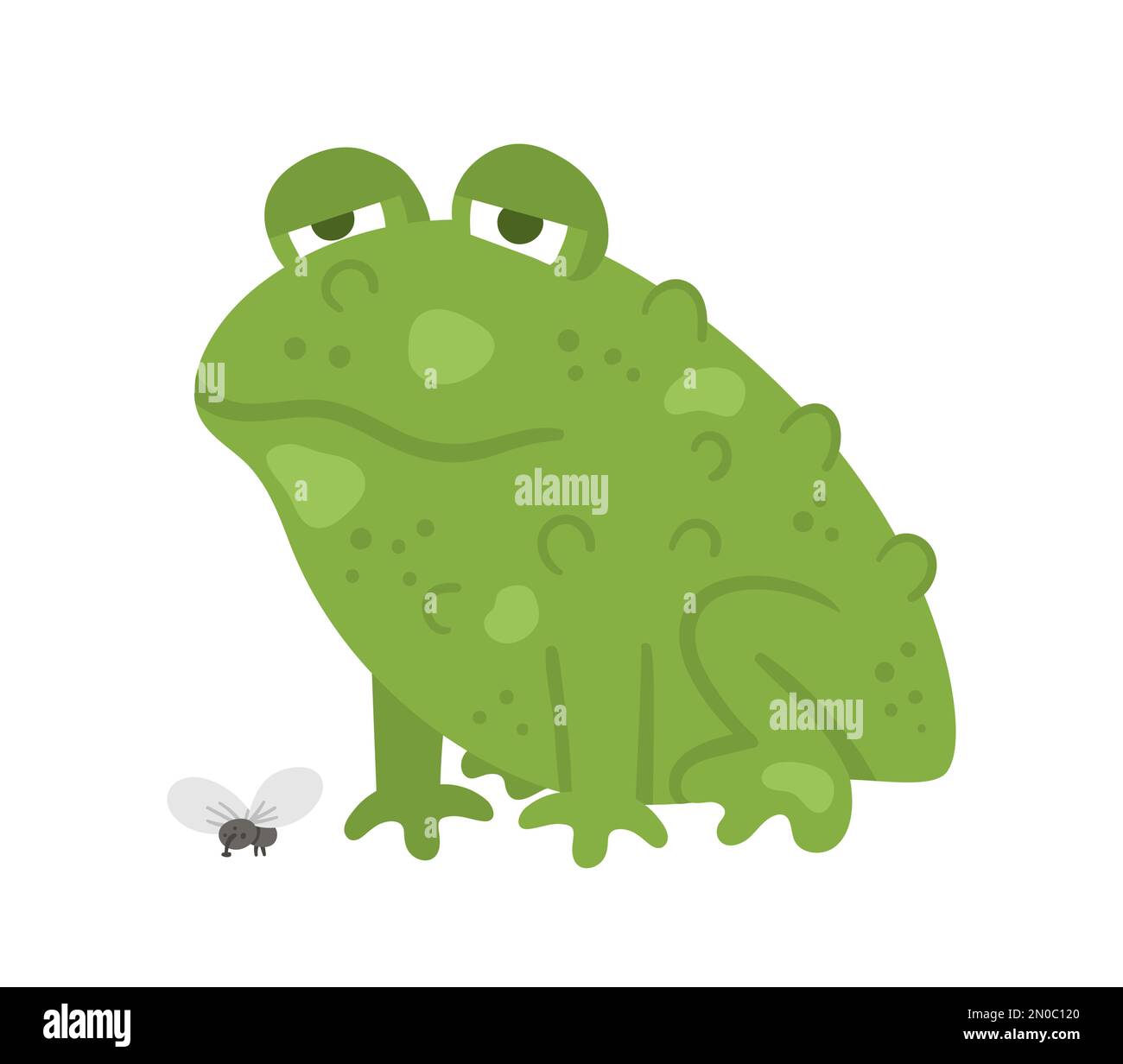 Cute vector sitting green toad with fly. Halloween character icon ...