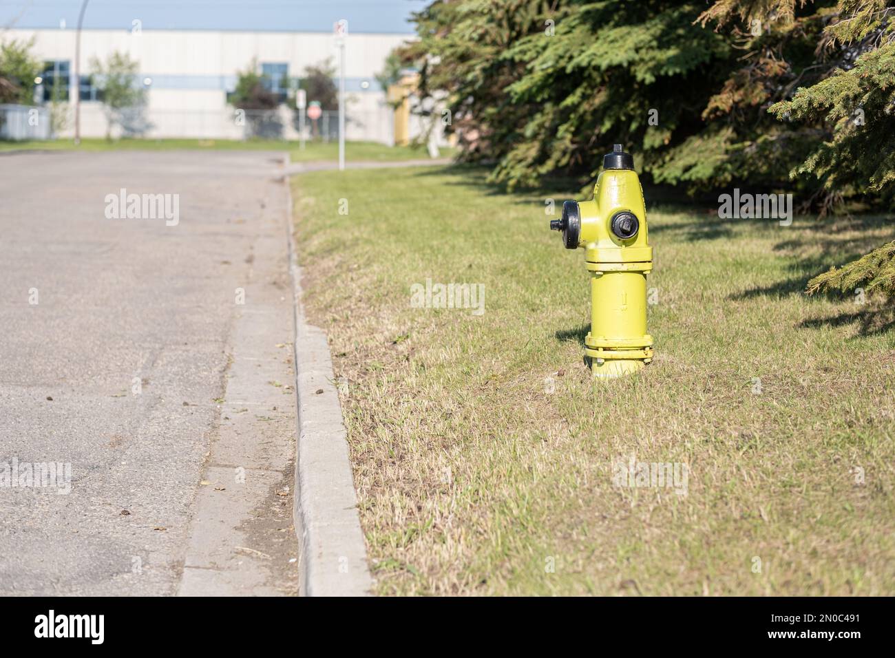 Fire Hydrant beside a city street in calgary Stock Photo - Alamy