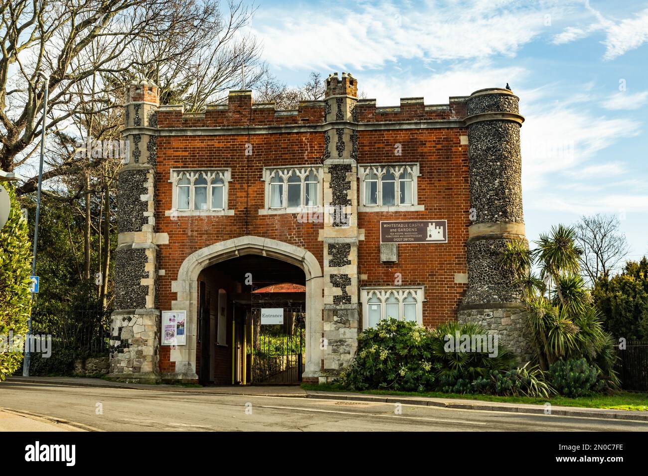 Pigeon on coast north hi-res stock photography and images - Alamy