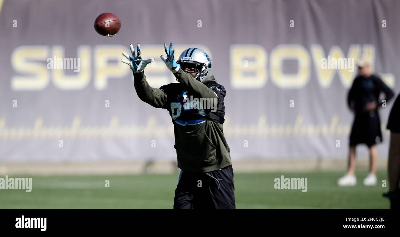 Carolina Panthers wide receiver Jerricho Cotchery makes a catch during ...