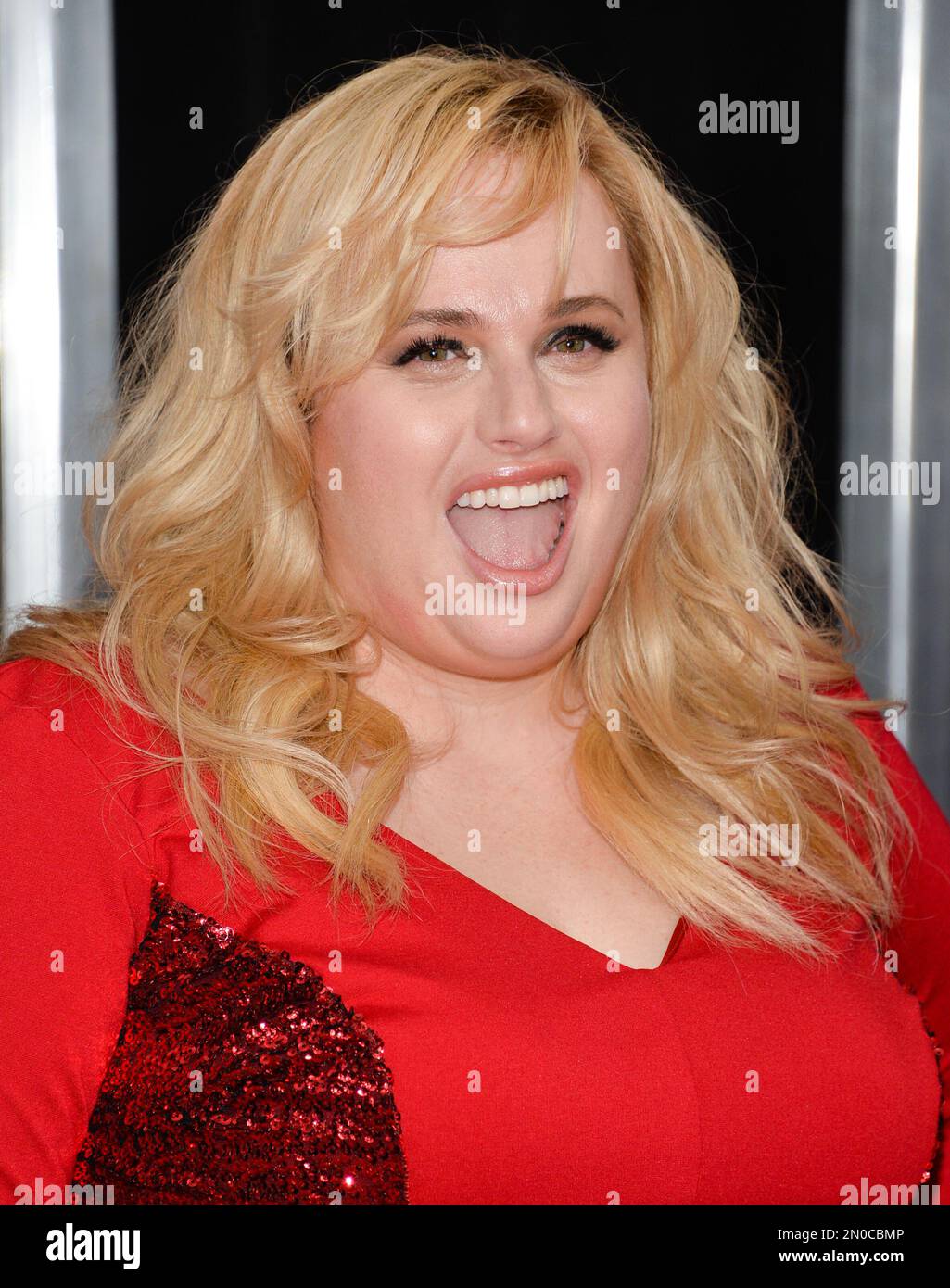 Actress Rebel Wilson attends the world premiere of "How To Be Single ...