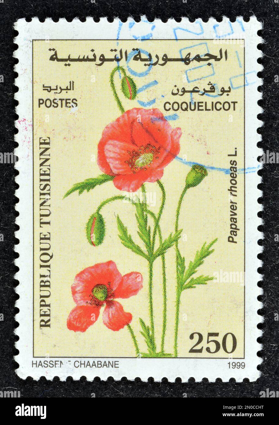 Cancelled postage stamp printed by Tunisia, that shows Common poppy ...