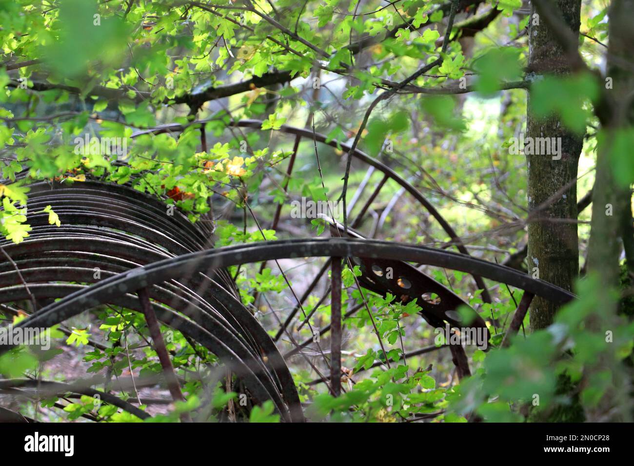 Iron ropes in the garden with sunlit tree braches around, blurred ...