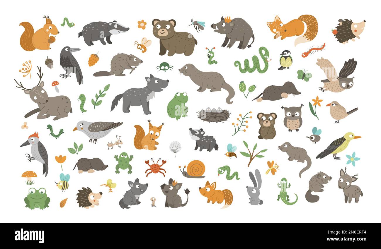 Woodland animals clipart Stock Vector Images - Alamy