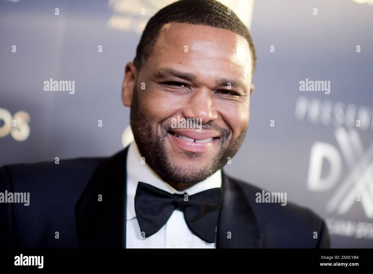 Actor Anthony Anderson attends the 20th Annual Art Directors Guild ...