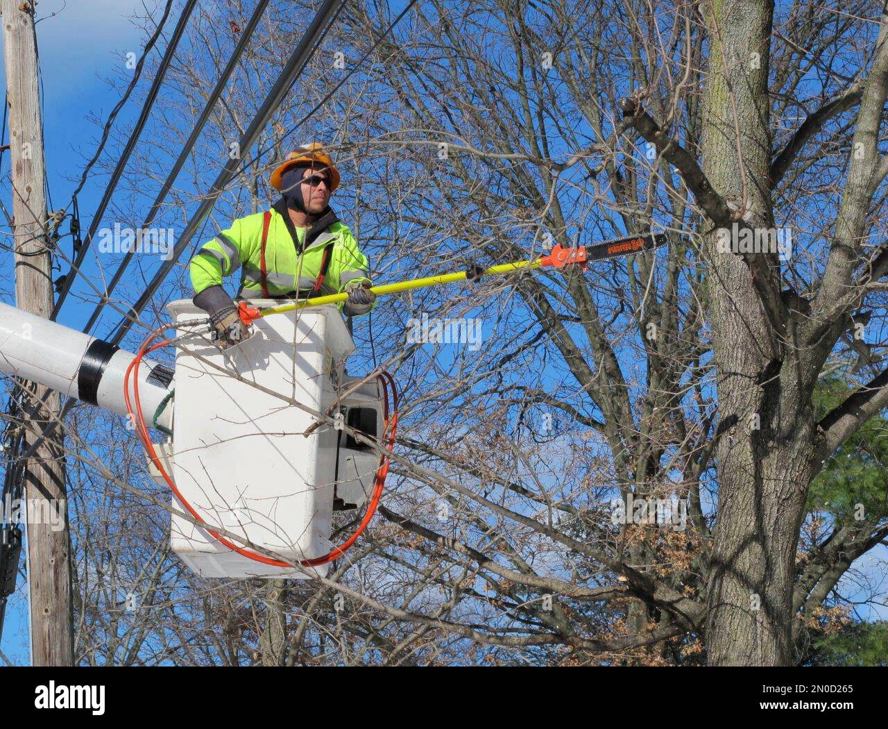 In this Jan. 27, 2016 photo, Rafael Panavala, an employee with Asplundh ...