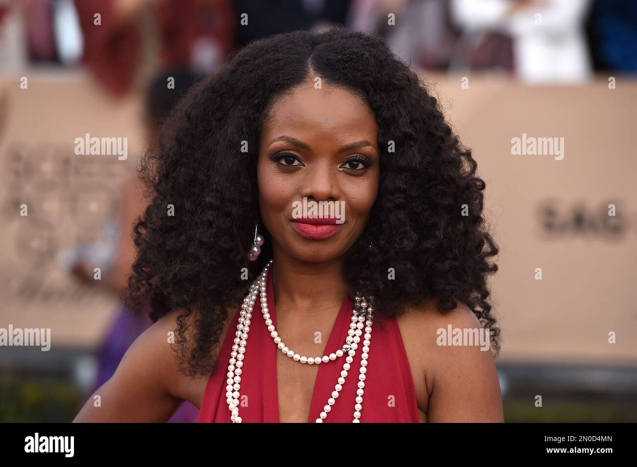 Marsha Stephanie Blake arrives at the 22nd annual Screen Actors Guild ...
